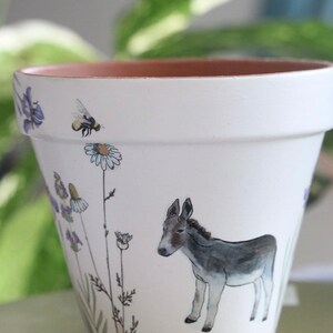 Donkey Gift Terracotta Plant Pot Donkey Sanctuary Indoor Planter ...