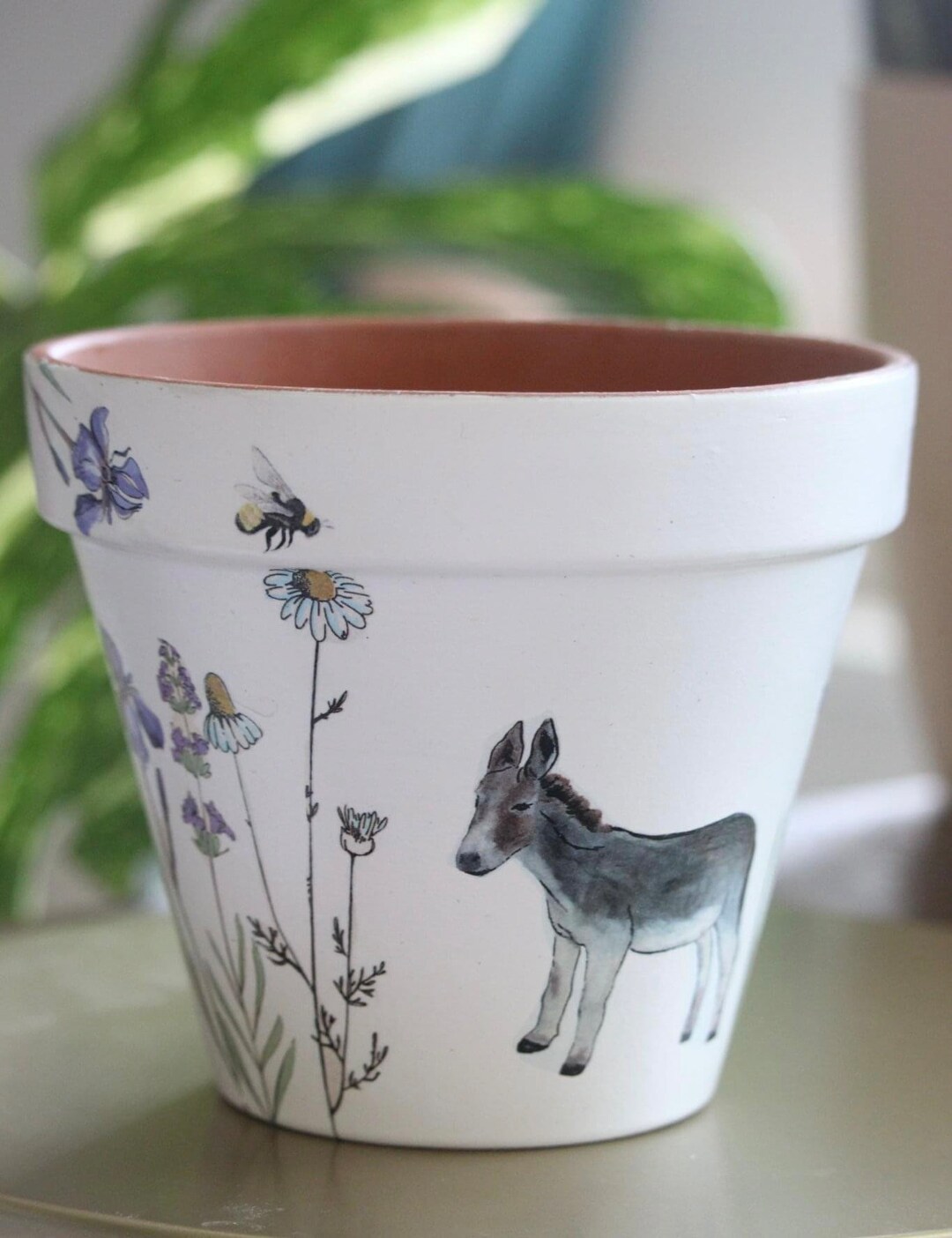 Donkey Gift Terracotta Plant Pot Donkey Lover Indoor Plant Pot - Etsy