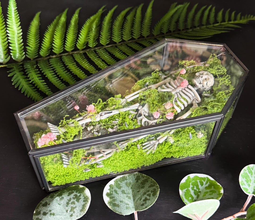 Coffin Gothic Glass Terrarium Display Diorama Unique, Spooky Gifts ...