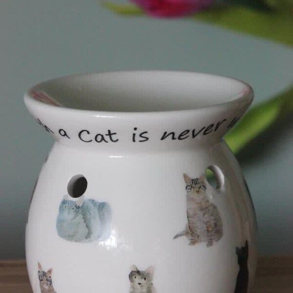 Cat Gifts - 60+ Gift Ideas for 2023