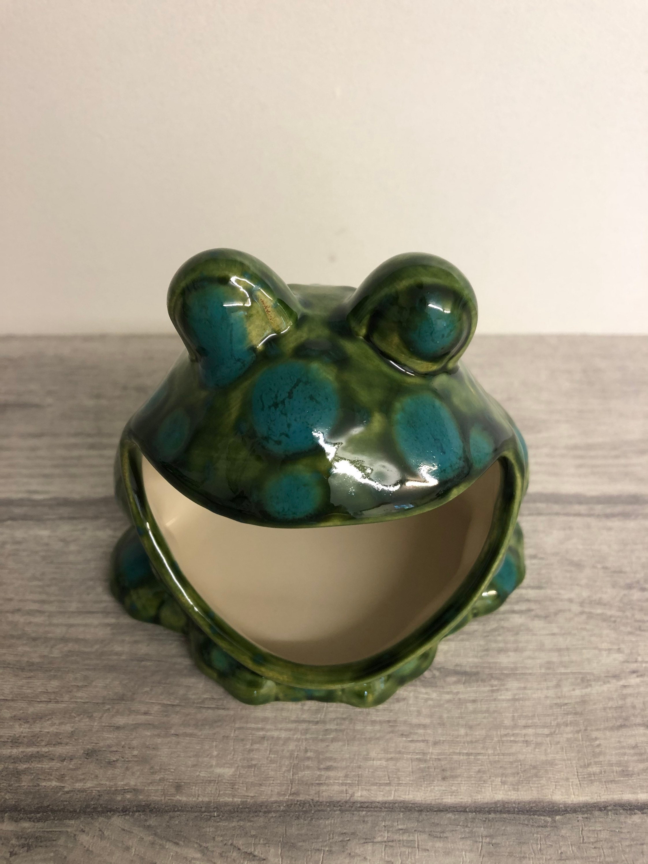 Frog Scrubby Holder Kitchen Decor Scrubby Holdersoap | Etsy UK