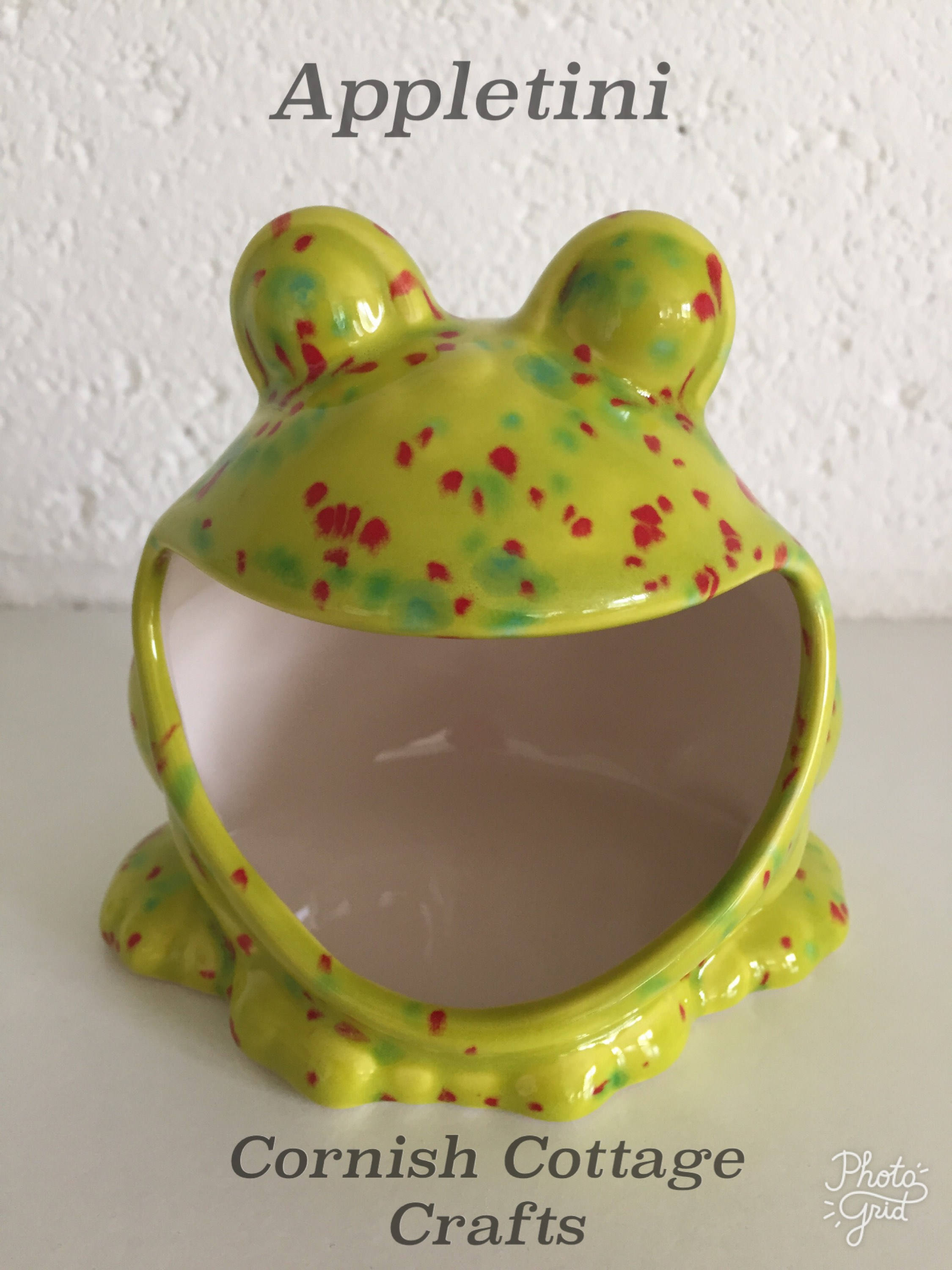 Frog Scrubby Holder Kitchen Decor Scrubby Holder Soap - Etsy UK