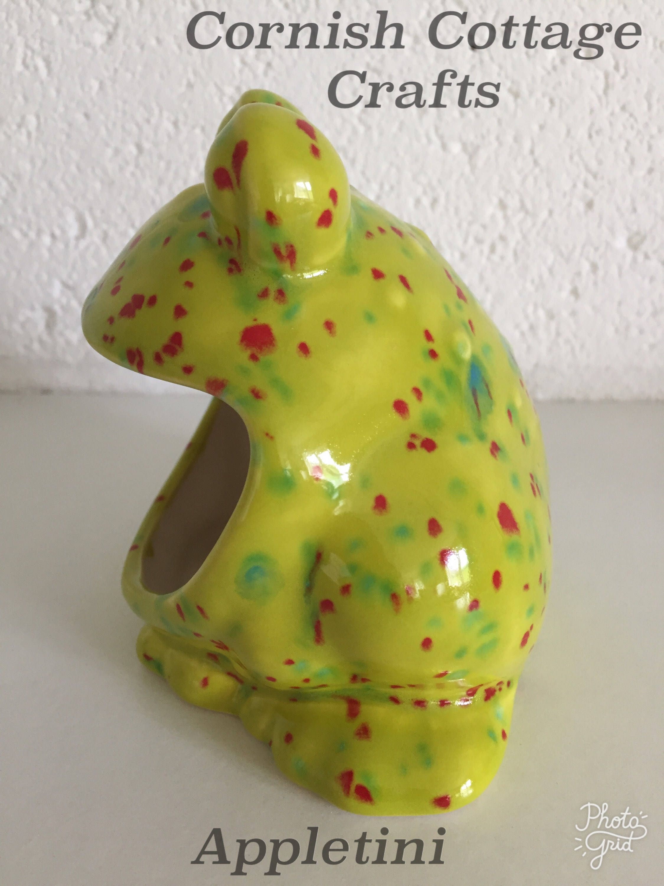 Frog Scrubby Holder Kitchen Decor Scrubby Holder Soap - Etsy UK