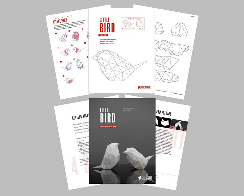 Papercraft Bird Template DIY Low Poly Bird Pattern 3D Bird - Etsy