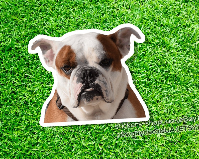 American bulldog decal Car Decal Window Decal ATC decal | Etsy
