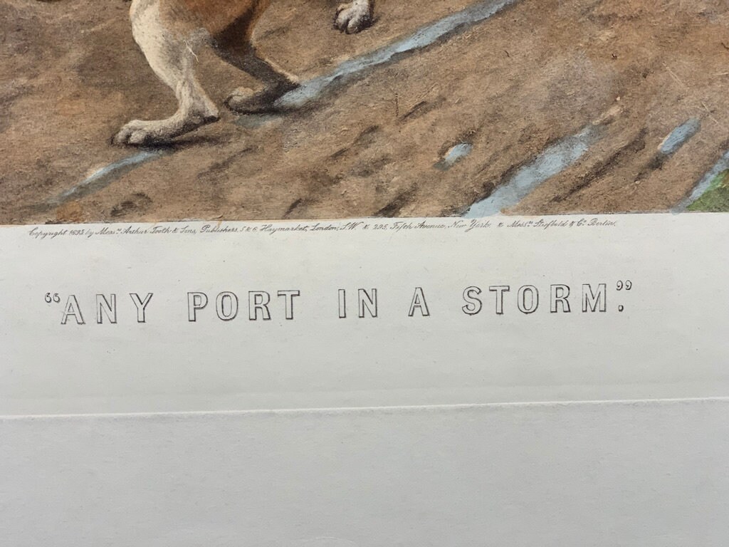 Any Port in a Storm by Alfred W Strutt Hand Colored Engraving Hunt ...