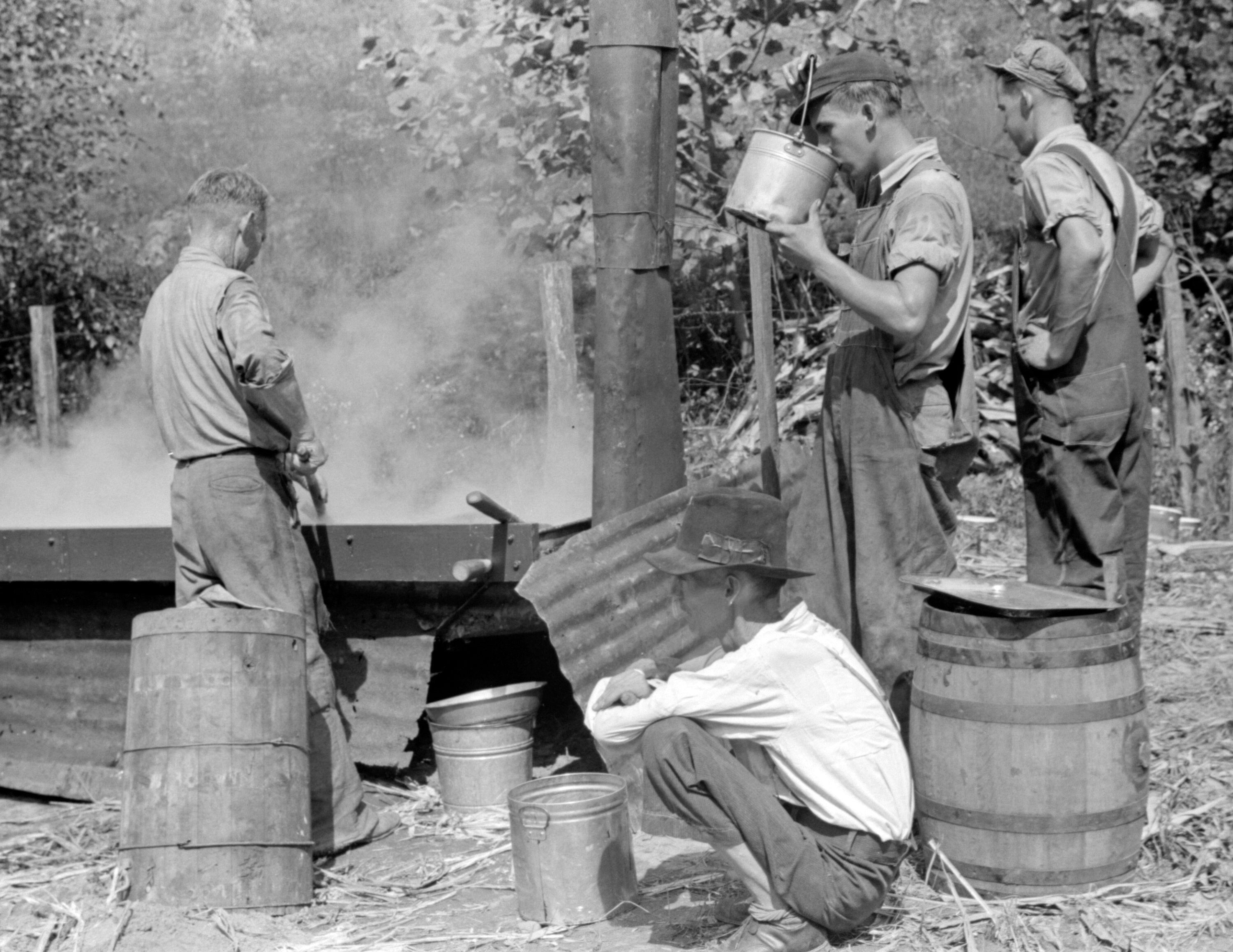 Making Molasses
