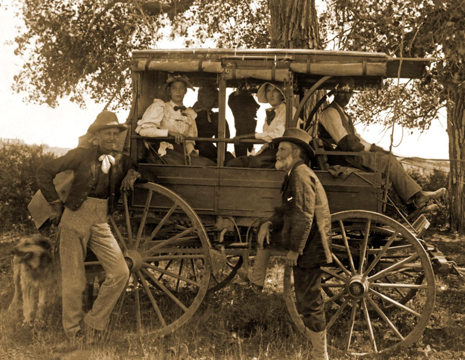 1890's Group With Horse-drawn Carriage Vintage Photograph Art Print - Etsy