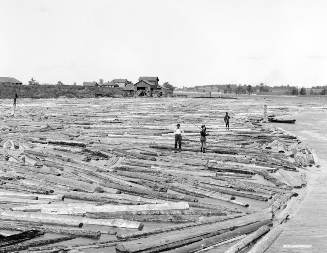 Lumberjack on Floating Logs - 1900s Michigan Historic Photo Art Print ...