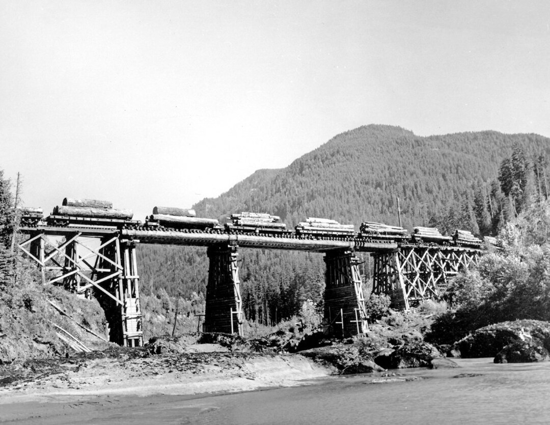 1949 Logging Train Cowlitz River Vintage Photograph: Washington State ...