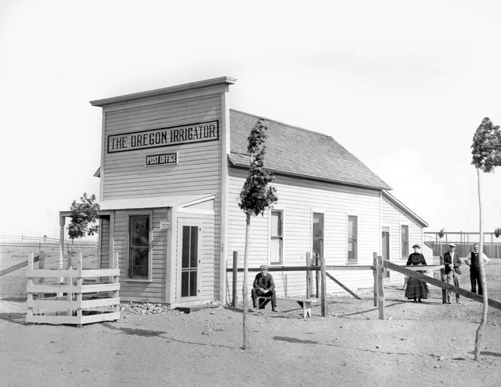 Irrigon Knights Mascot