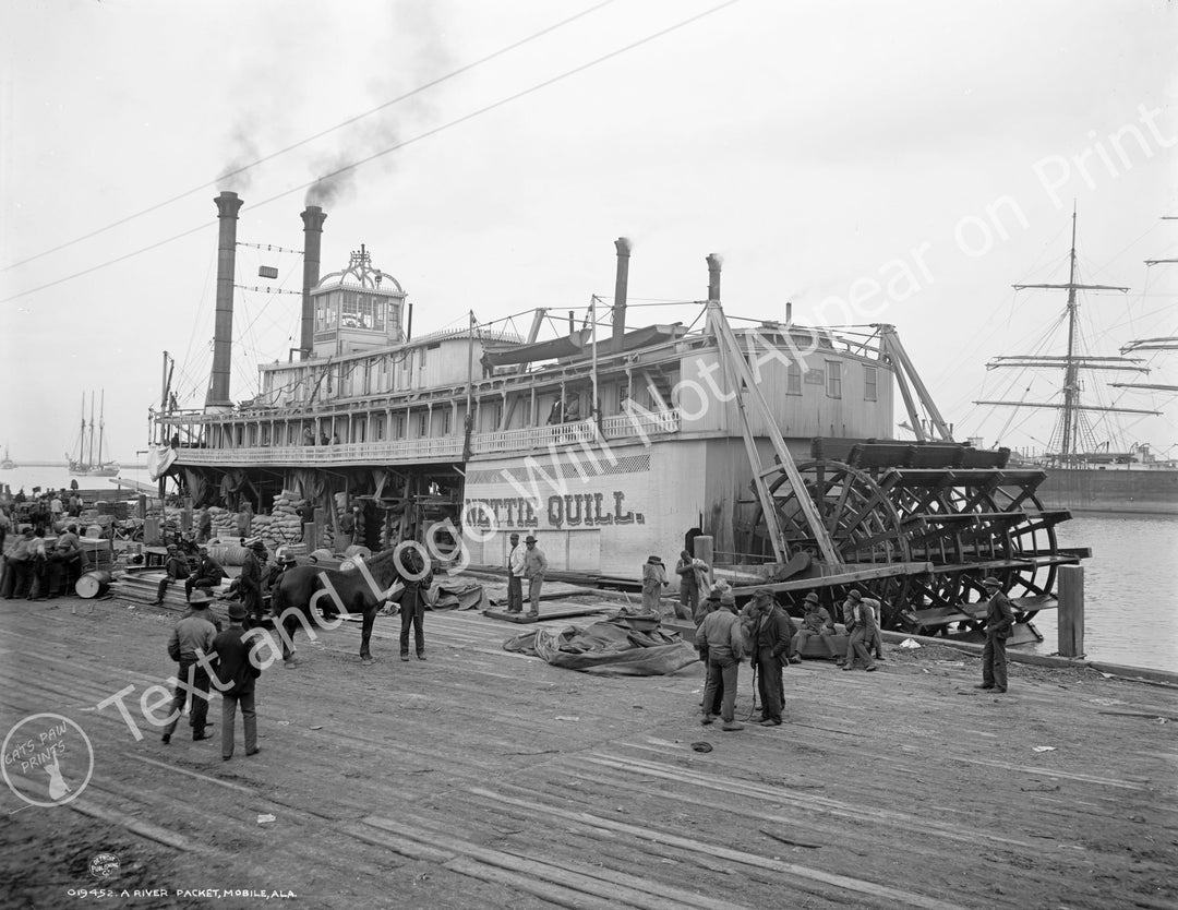 1906 River Packet Nettie Quill, Mobile, Alabama Vintage Old Photo Art ...