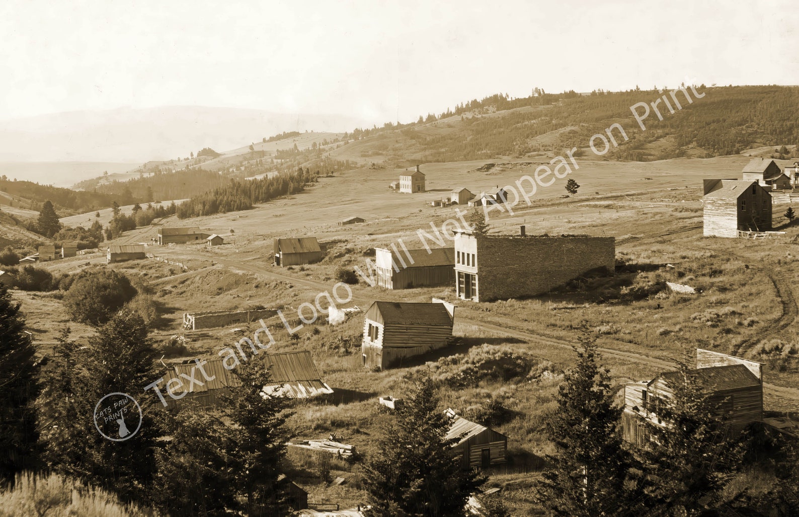 1927 Abandoned Mining Town of Castle, Montana Vintage Old Photo Art ...