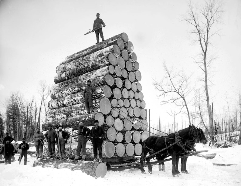 Late 1800's Logging a Huge Load of Logs Vintage Photograph - Etsy