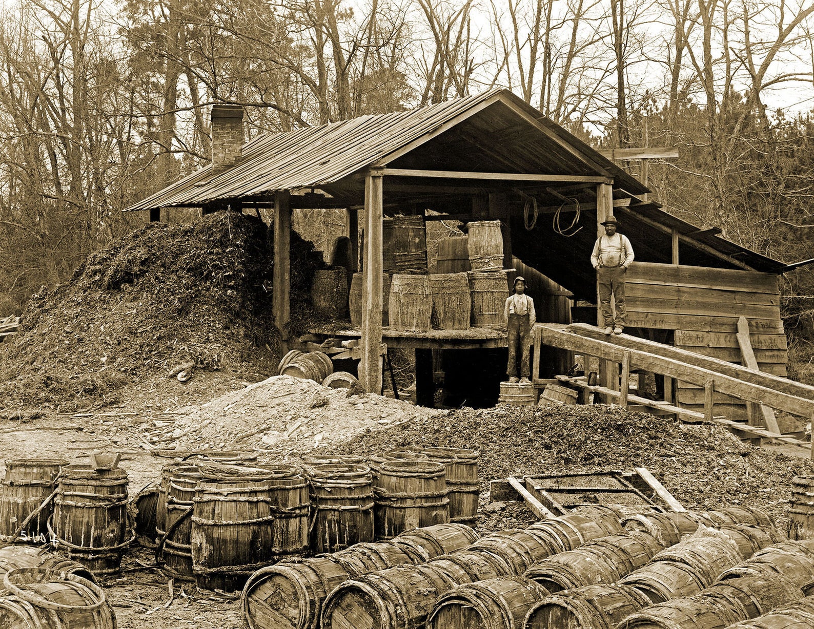 1880's Turpentine Distillery Vintage Old Photo 8.5" X 11" Art Print ...