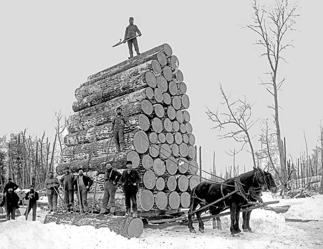 1890's Logging Huge Load of Logs Vintage Old Retro Photograph INSTANT ...