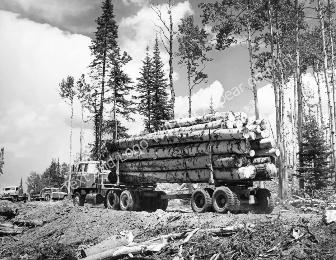 1965 Logging Truck, Routt National Forest, Colorado Vintage Old Photo ...