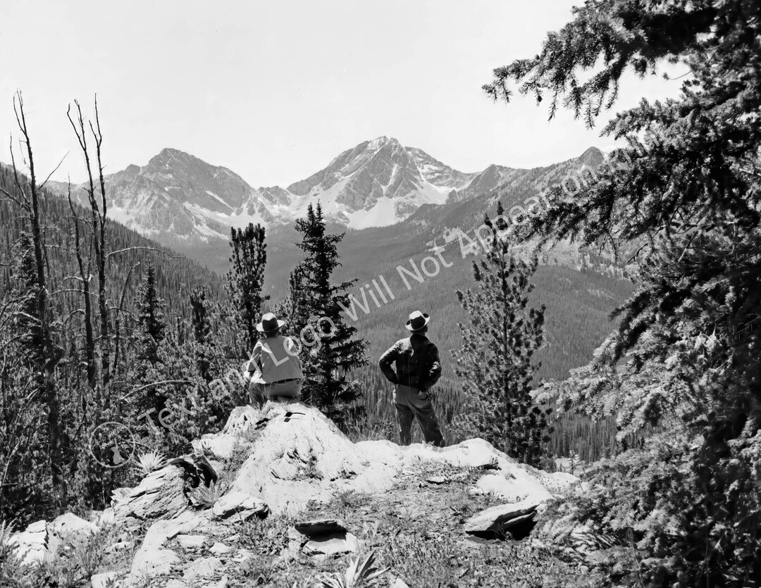 1961 Warren Peak From Highline Trail, Deerlodge Forest, Montana Vintage ...