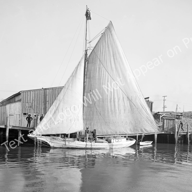 CatsPawPrintsShop - Etsy