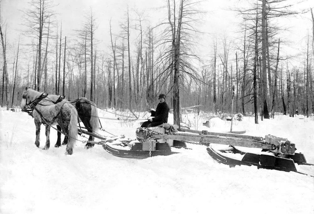 1880-1899 Horse Drawn Logging Sled, MI Old Photo 13" X 19" Art Print ...