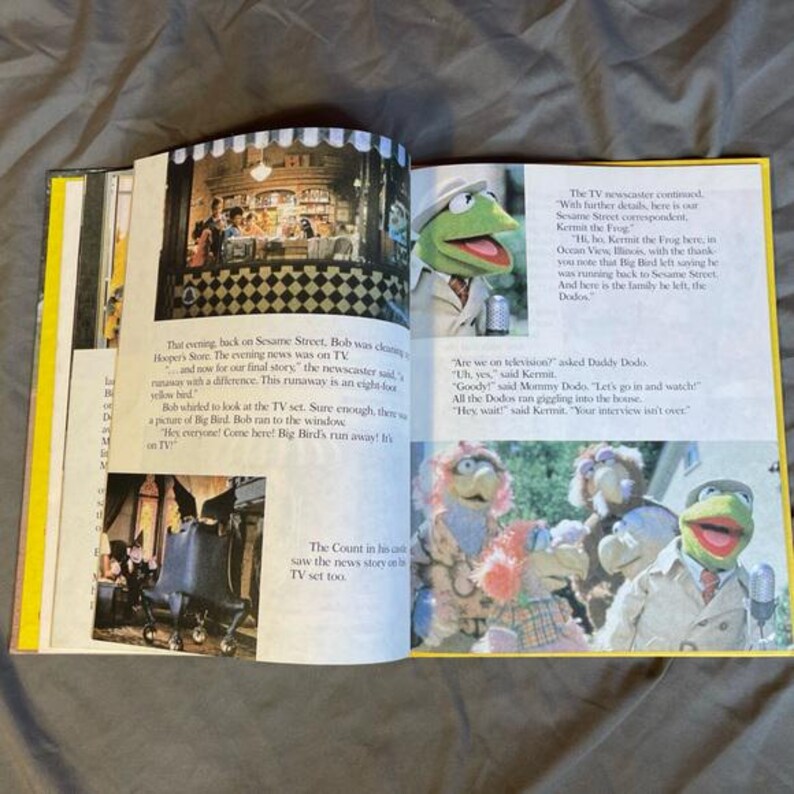 VTG 1985 Sesame Street Presents Follow That Bird Deborah Hautzig Big ...