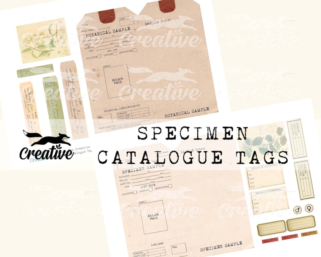 BOTANICAL SPECIMEN CATALOGUE Tags, Botanical Layered Tags, Digital ...