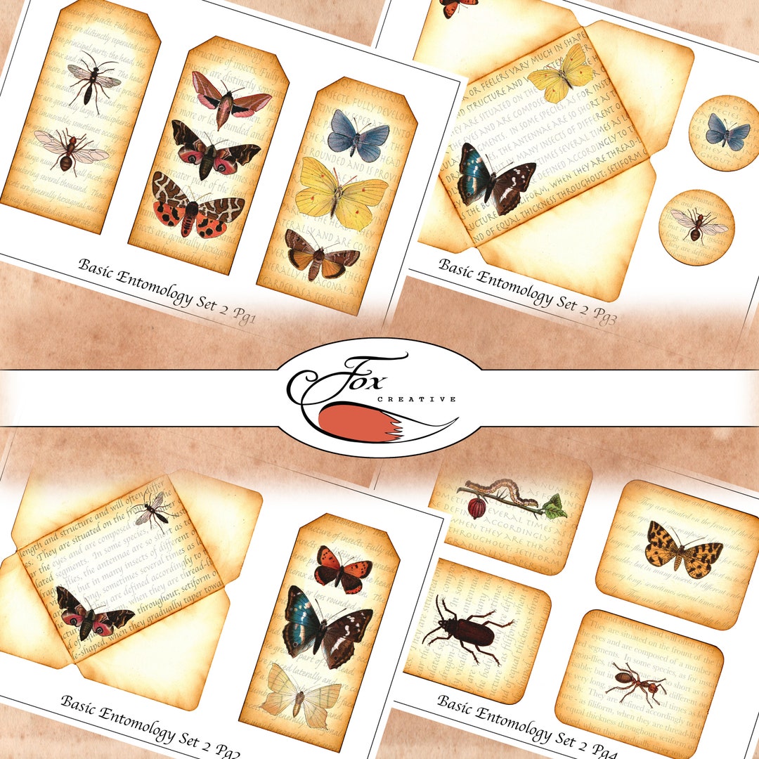 Insect Digital Ephemera Journal Kit. Basic Entomology Set 2 DIGI18 38 ...
