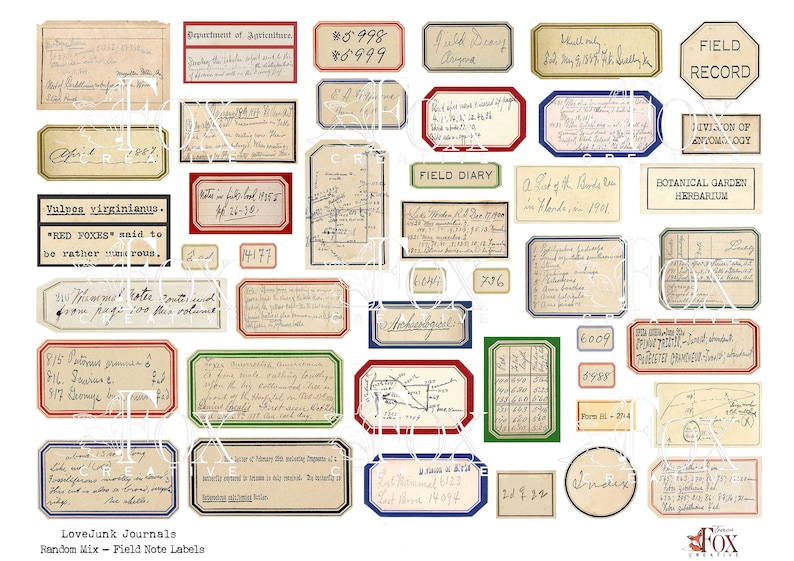 Random Field Note Labels, Digital Kit DIGI20 55 - Etsy