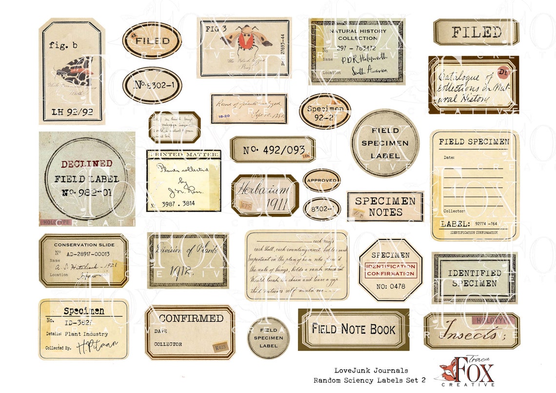 Random Sciency Labels SET 2 DIGI20 53: Specimen, Identification, Labels ...