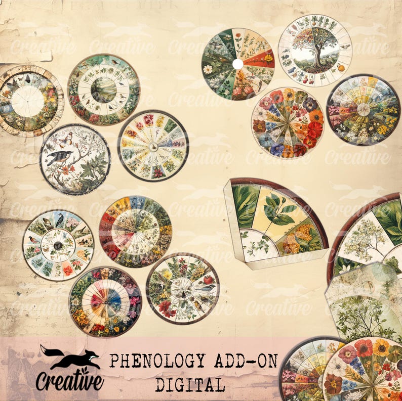 PHENOLOGY Paper ADD-ON Ephemera/planner Elements, Journal/scrapbooking ...