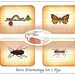 Insect Digital Ephemera Journal Kit. Basic Entomology Set 2 DIGI18 38 ...