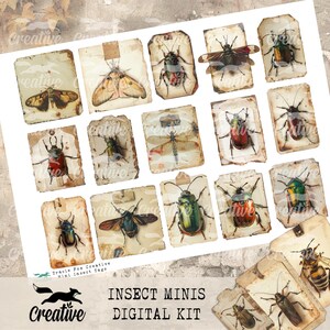 Insect Minis, Digital Bugs Kit, DIGI24 13 Insect Ephemera - Etsy Canada