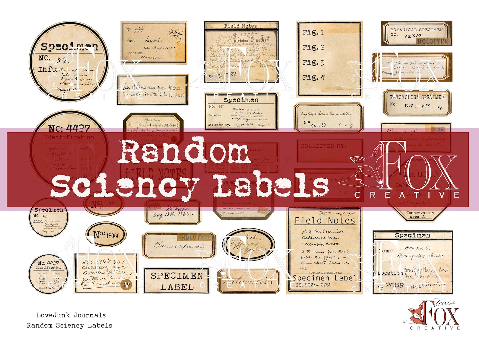 Random Sciency Digital Labels DIGI20 29: Specimen, Identification ...