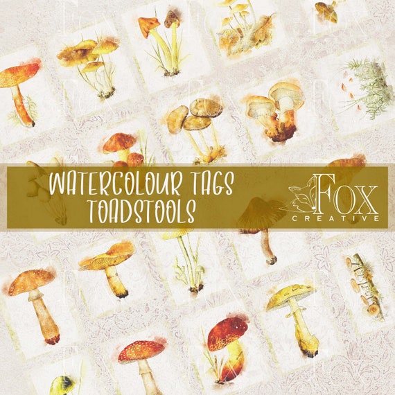 Watercolour Toadstool Tags DIGI20 01 | Etsy