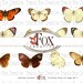 SET 3 Butterfly Images, Fussy Cut Pages, Flutterby Digital Kit DIGI19 90 - Etsy