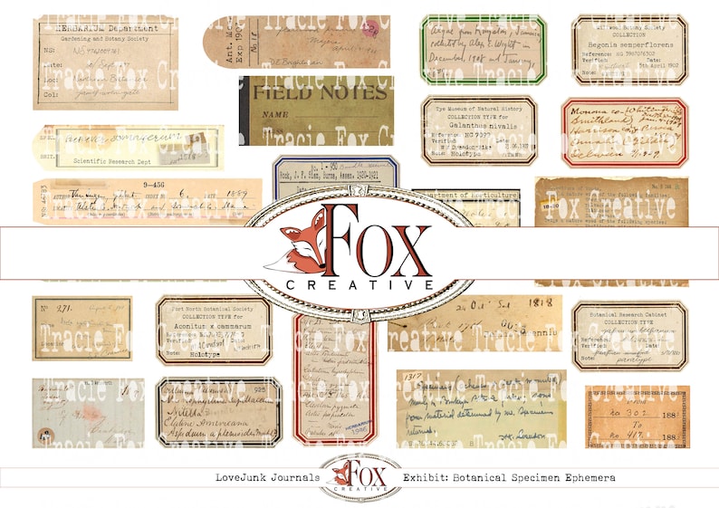 Exhibit: Botanical Specimen Ephemera Digital Kit DIGI19 96 - Etsy