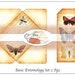 Insect Digital Ephemera Journal Kit. Basic Entomology Set 2 - Etsy