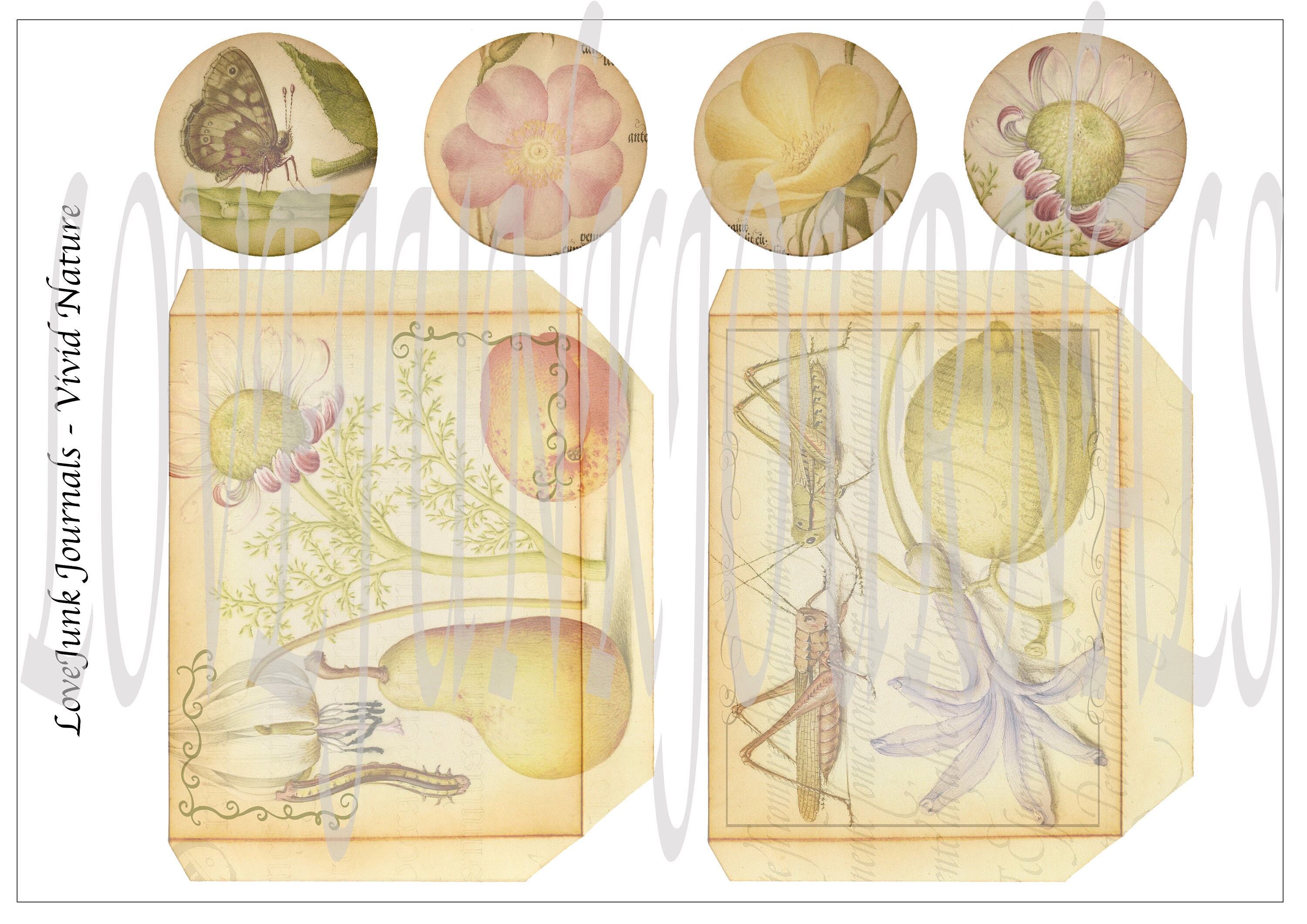 Digital Journal Kit, Ephemera Pack. Vivid Nature. DIGI18 16 - Etsy
