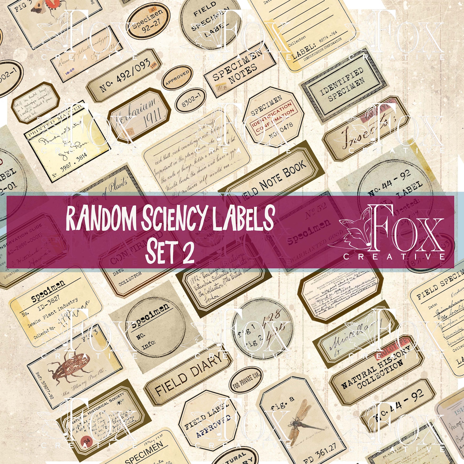 Random Sciency Labels SET 2 DIGI20 53: Specimen, Identification, Labels ...