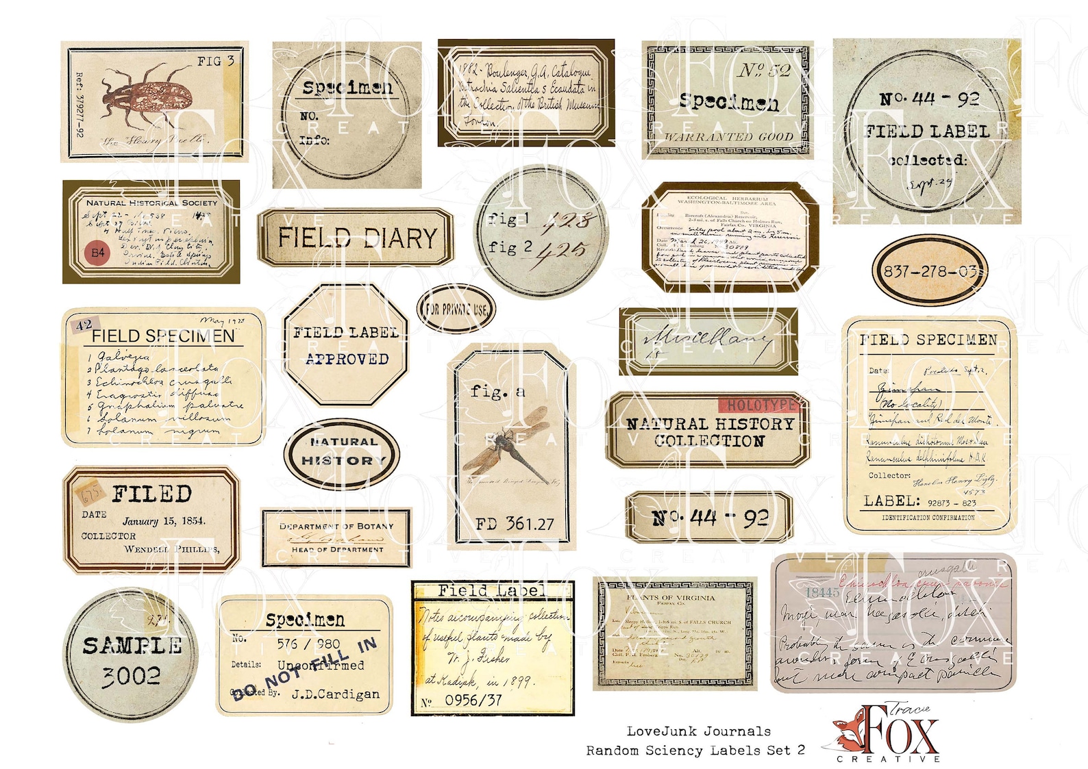 Random Sciency Labels SET 2 DIGI20 53: Specimen, Identification, Labels ...