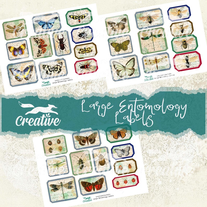 Large ENTOMOLOGY LABELS, Digital Label, Journal Kit DIGI21 35 - Etsy
