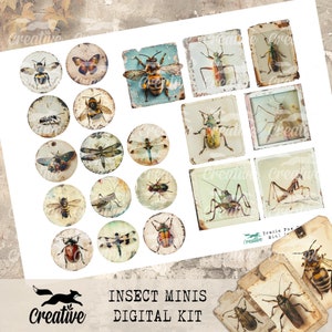 Insect Minis, Digital Bugs Kit, DIGI24 13 Insect Ephemera - Etsy Canada