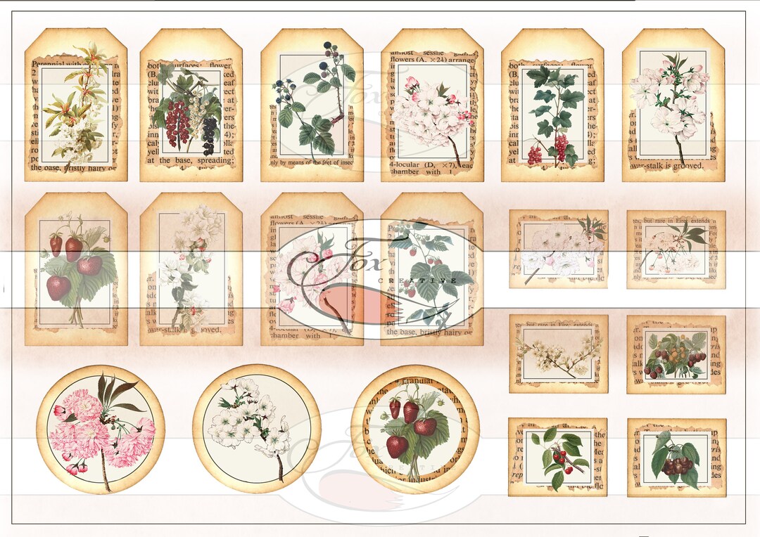Mini Digital Embellishments and Tags. Blossom and Berries. DIGI19 83 - Etsy