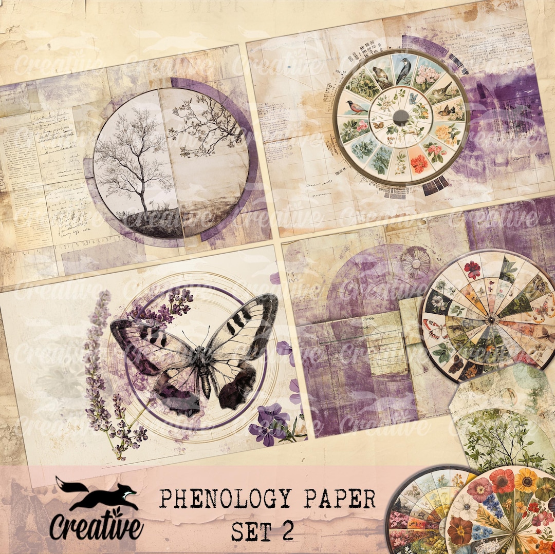PHENOLOGY Paper Set 2, Journal/scrapbooking Digital Kit, DIGI2508 - Etsy