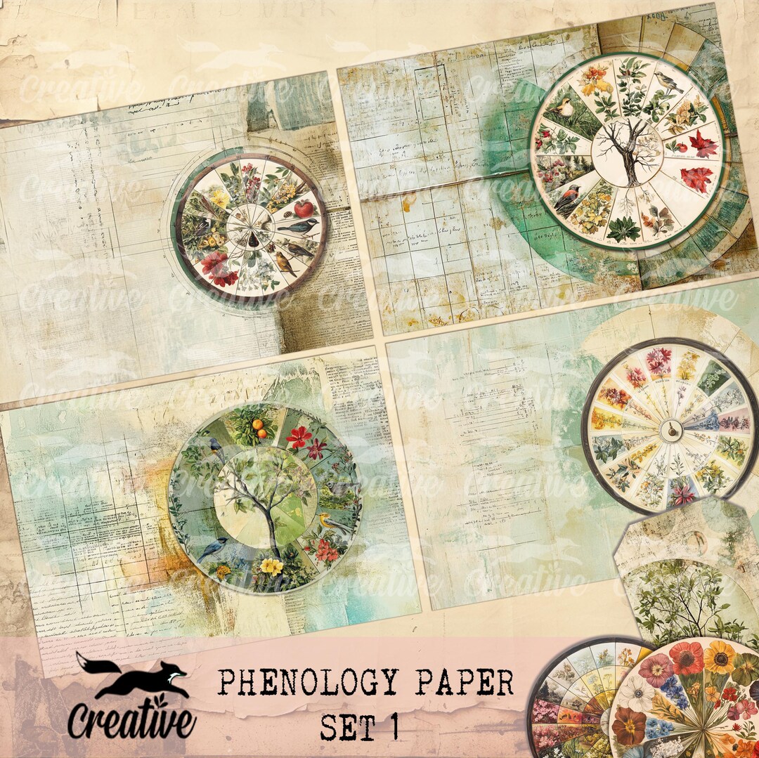 PHENOLOGY Paper Set 1, Journal/scrapbooking Digital Kit, DIGI2507 - Etsy