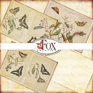 Flutterby: Butterfly Journal Pages, Digital Kit. DIGI19 36 - Etsy UK