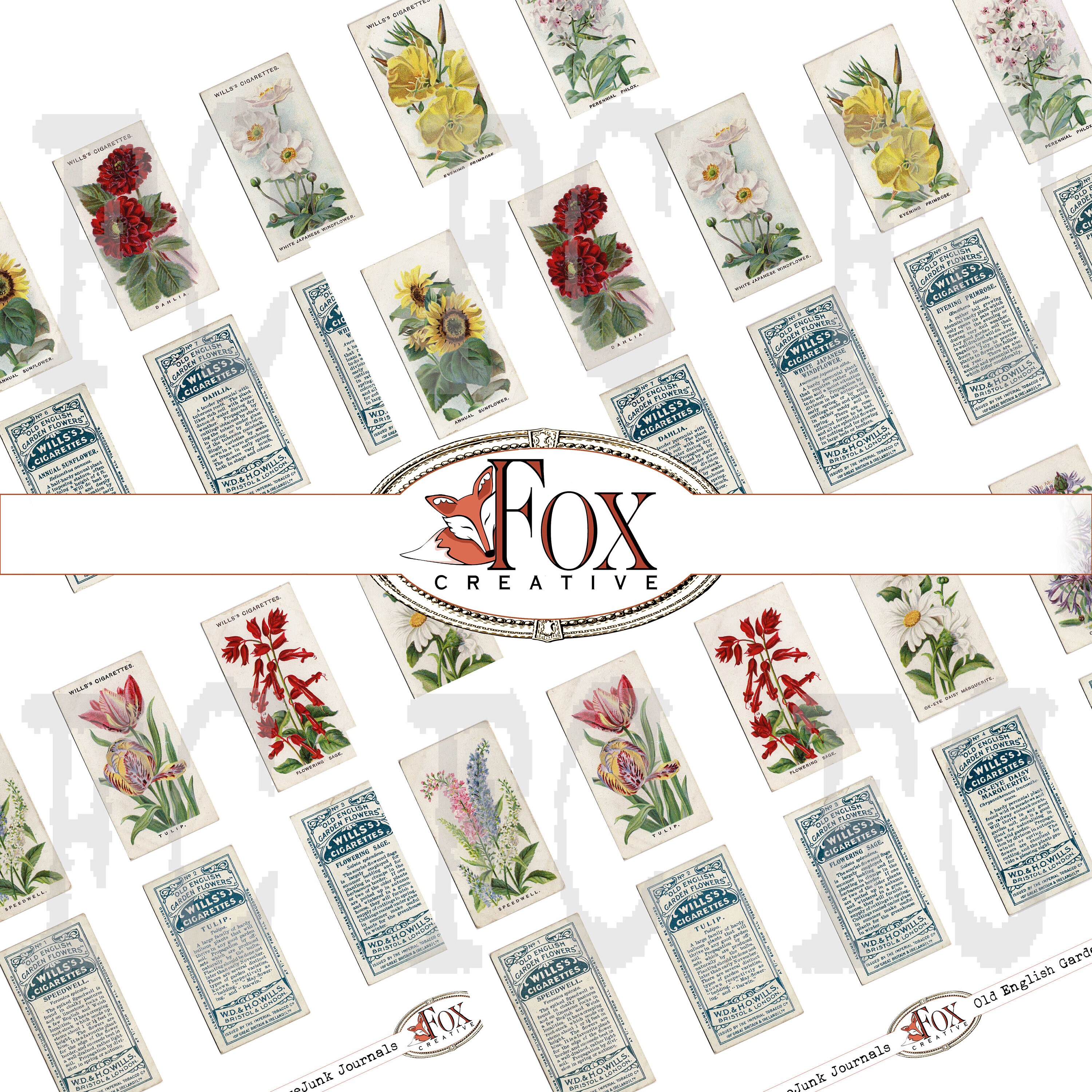 ENGLISH GARDEN, Flower Tea Cards/cigarette Cards Set 1. Journal ...