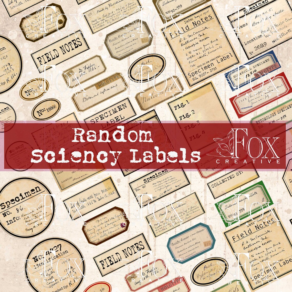 Random Sciency Digital Labels DIGI20 29: Specimen - Etsy