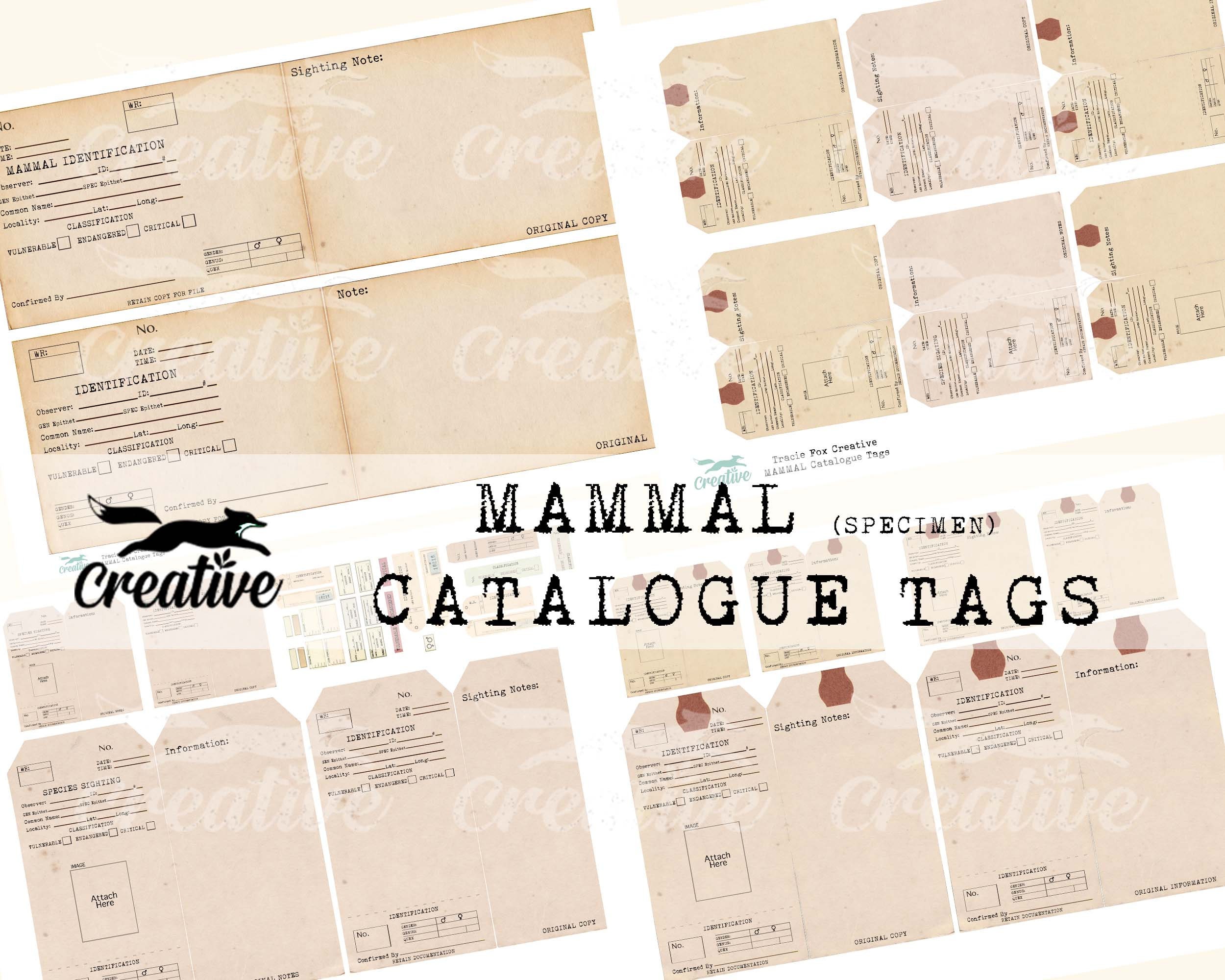 Mammal Specimen Catalogue Tags DIGI22 16mammal/animal - Etsy