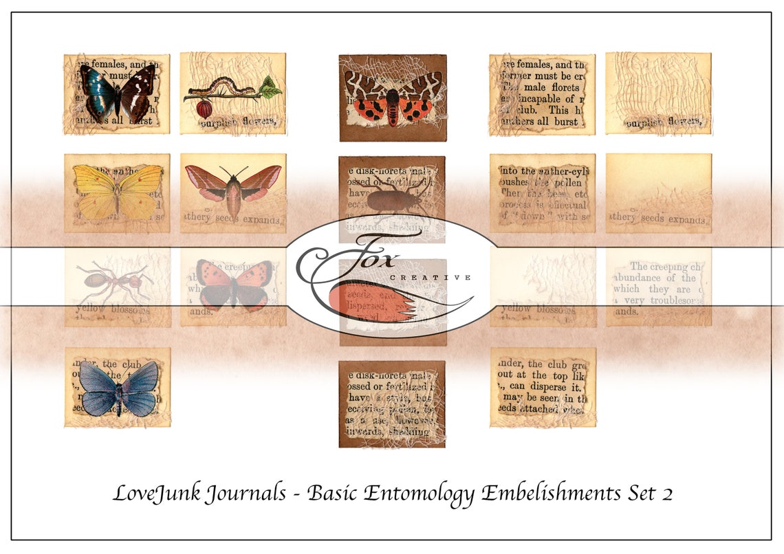 Entomology Digital Embellishment. Mini Basic Entomology Set 2. - Etsy